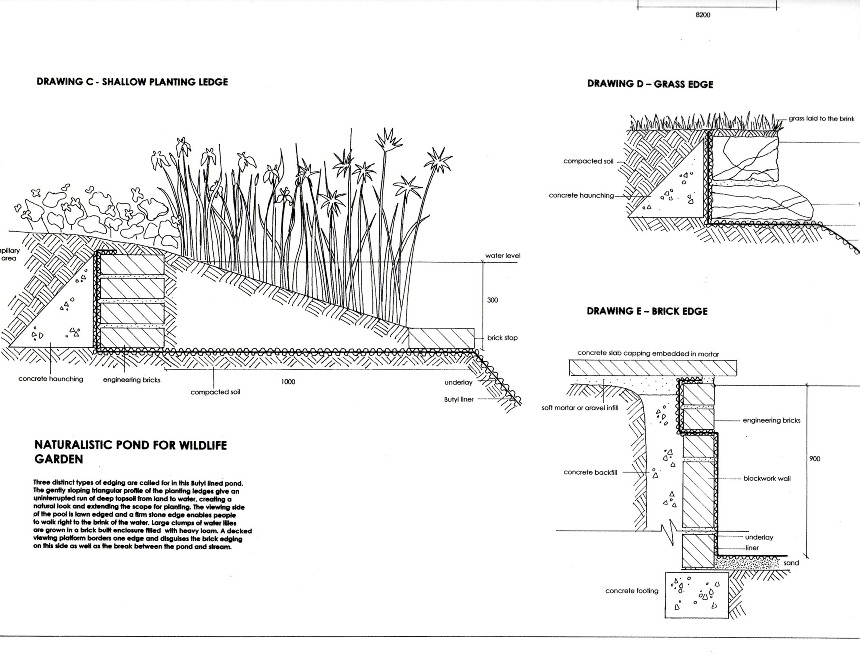 ปักพินในบอร์ด Natural pool